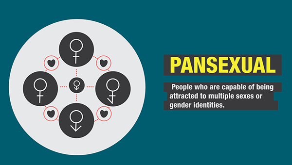 Pansexuality A Better Understanding And Some Myth Busting Facts